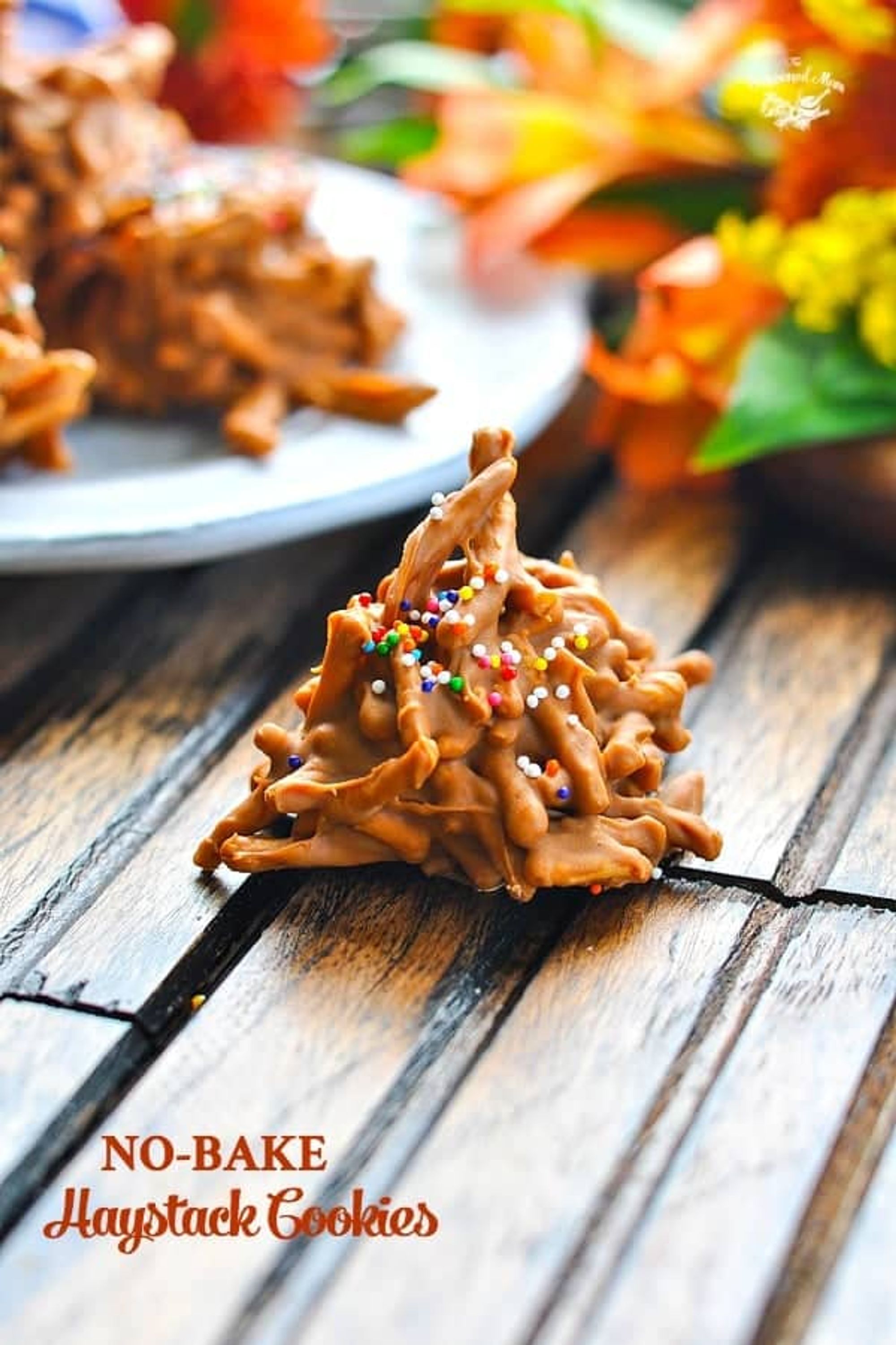 No-Bake Haystack Cookies - The Seasoned Mom - My Recipe Magic