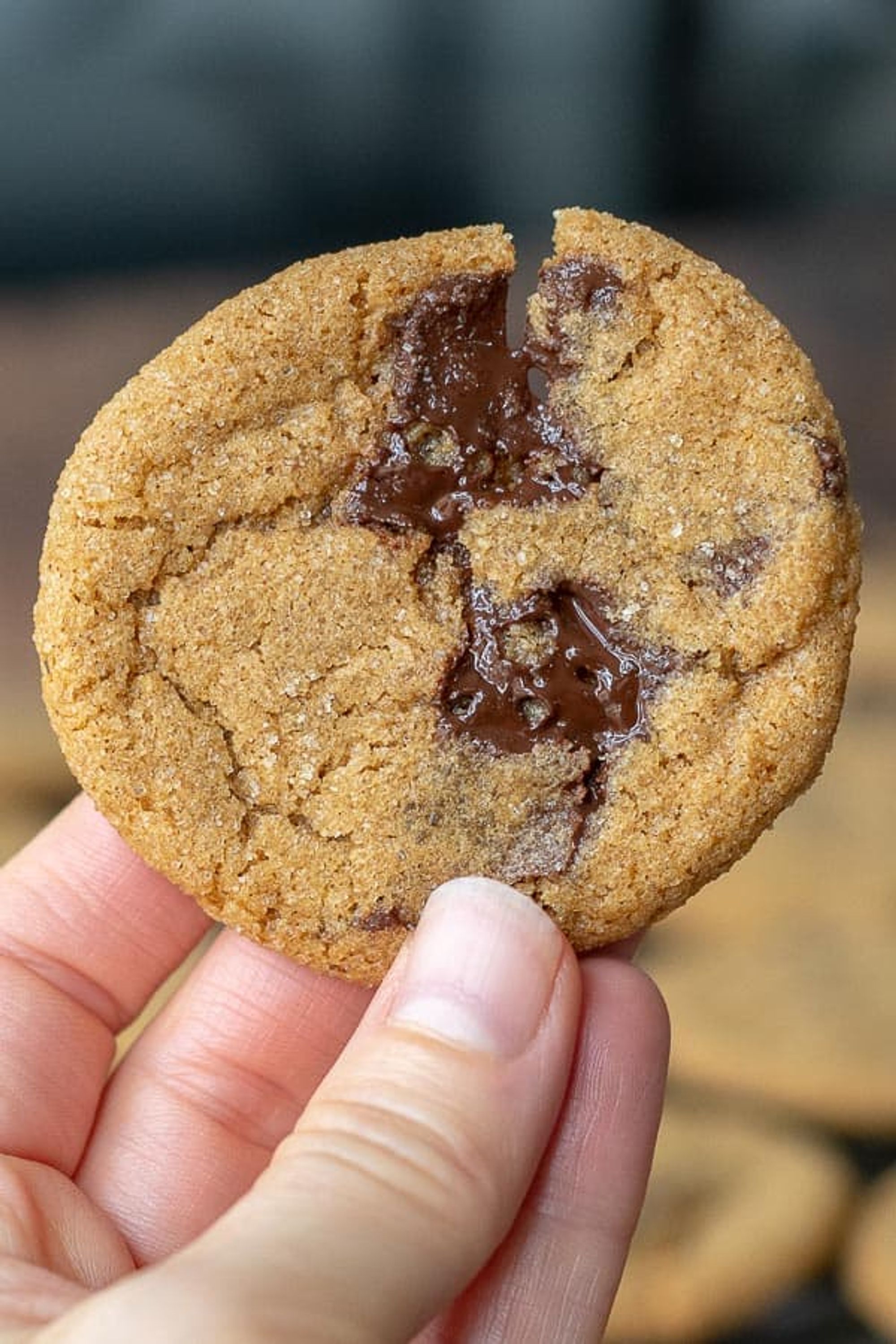 Ginger Molasses Cookies Soft Chewy Absolutely Irristable My ginger-molasses-cookies-soft-chewy-absolutely-irristable-my