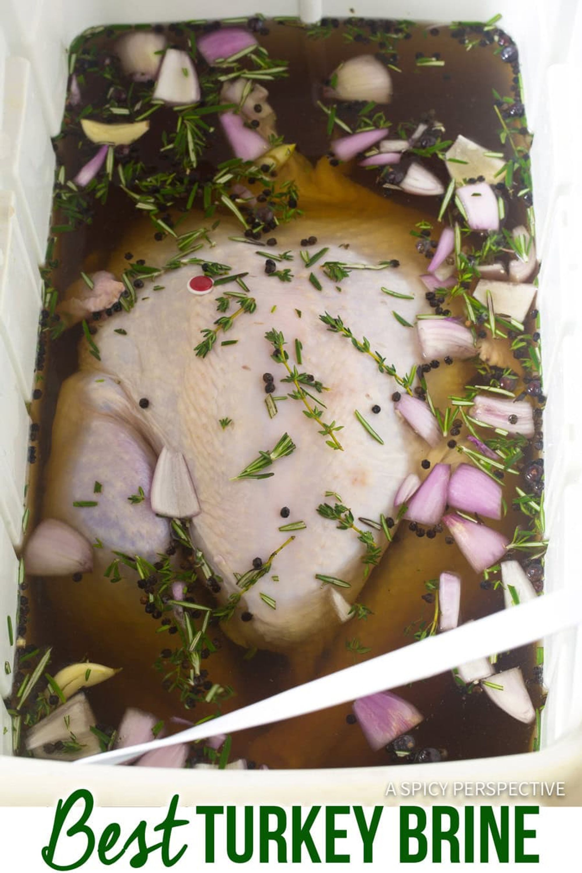 Best Turkey Brine Recipe - A Spicy Perspective - My Recipe Magic